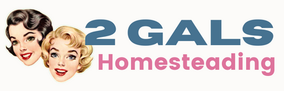 Blog - 2 Gals Homesteading